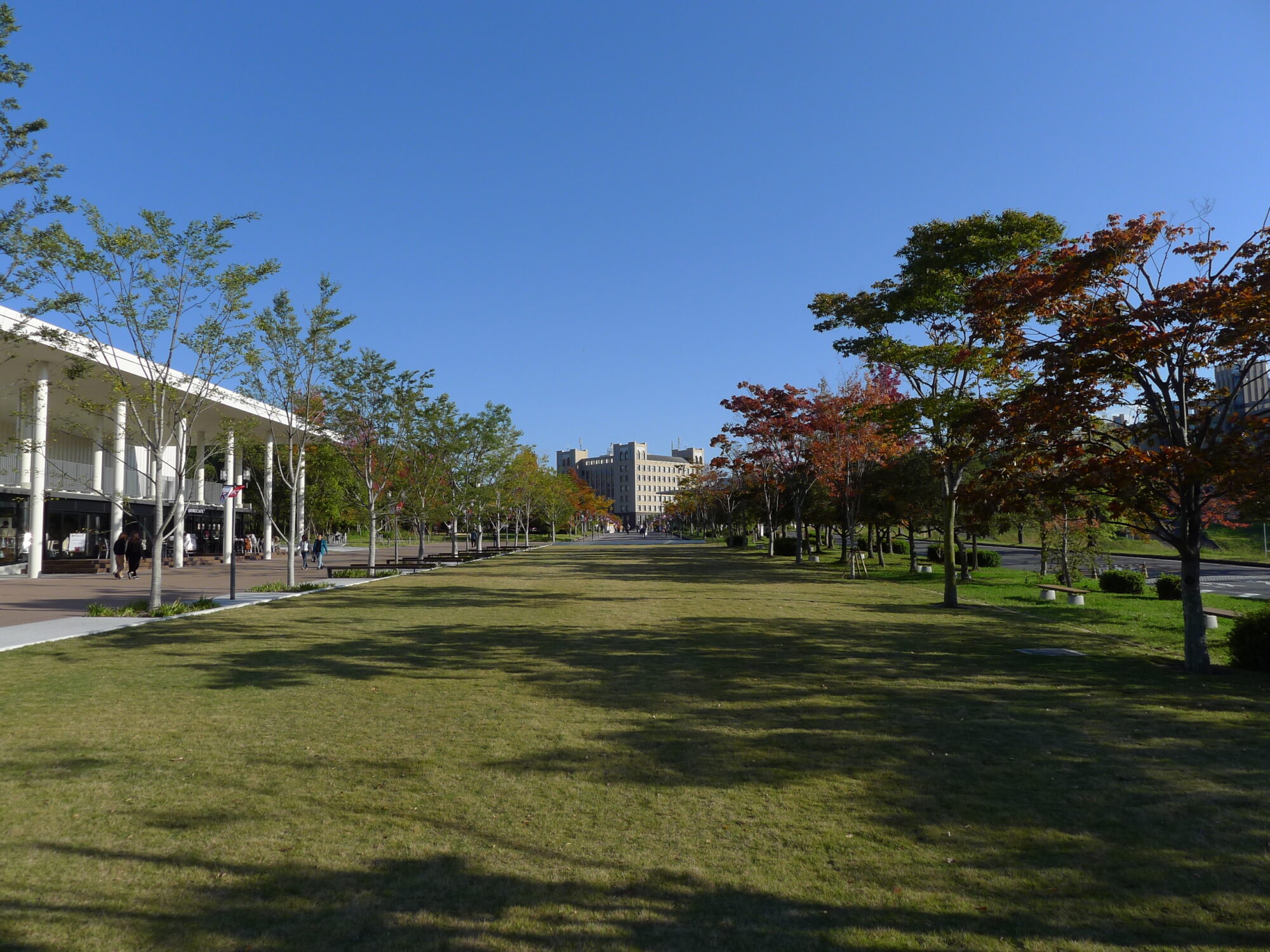 立命館大学BKCフロンティアアベニュー | ランドスケープデザイン/Landscape Design