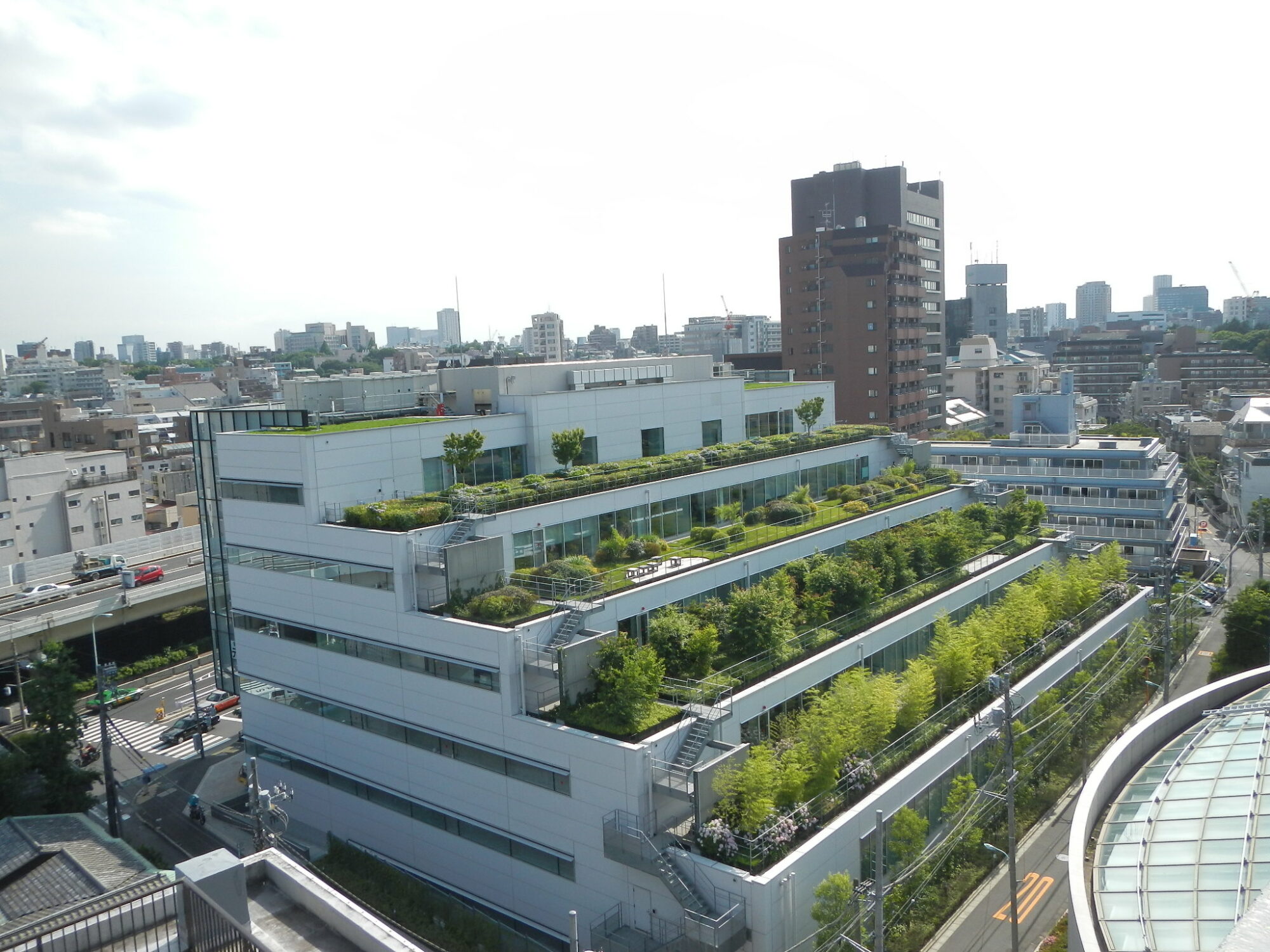 Green Terrace Design